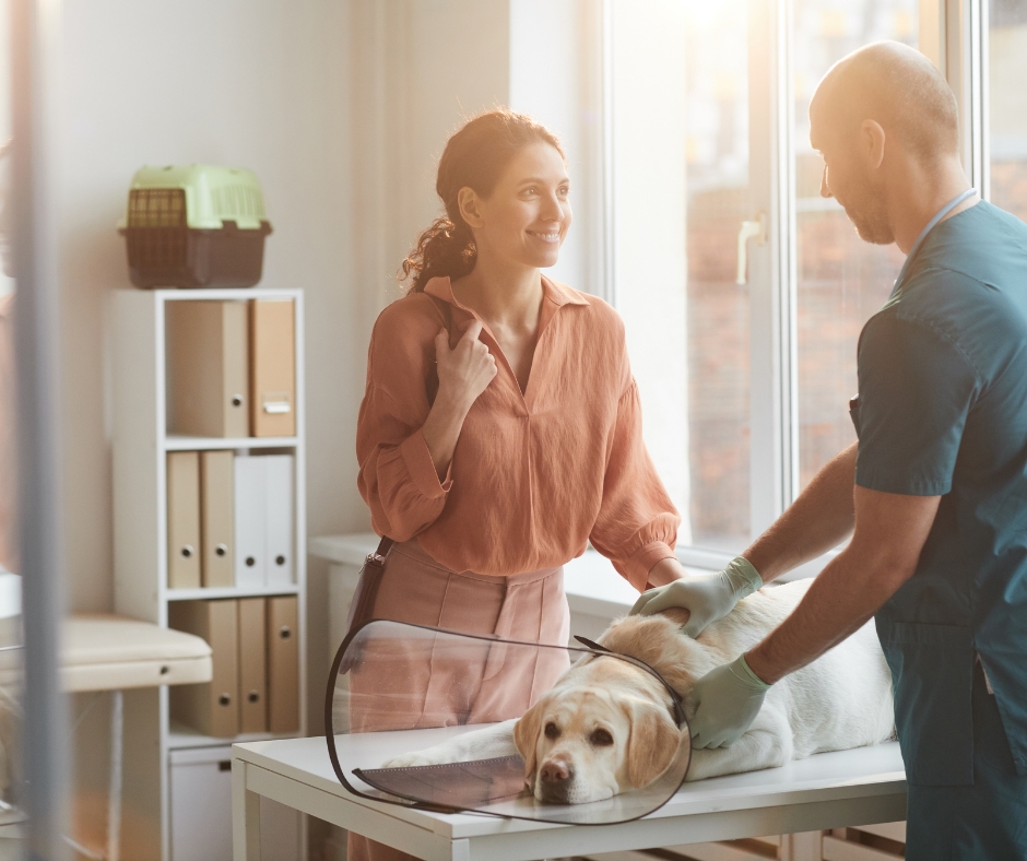 The Crucial Role of Veterinary Technicians in Promoting Preventive ...